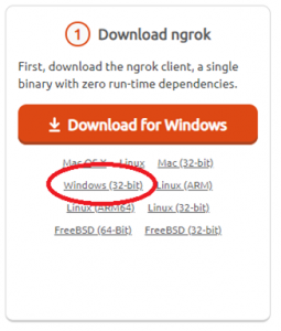 การติดตั้ง Ngrok ให้ Localhost สามารถ Online ได้ตลอดเวลา | HostPacific.com