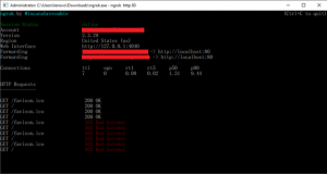การติดตั้ง Ngrok ให้ Localhost สามารถ Online ได้ตลอดเวลา | HostPacific.com