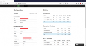 การติดตั้ง Ngrok ให้ Localhost สามารถ Online ได้ตลอดเวลา | HostPacific.com